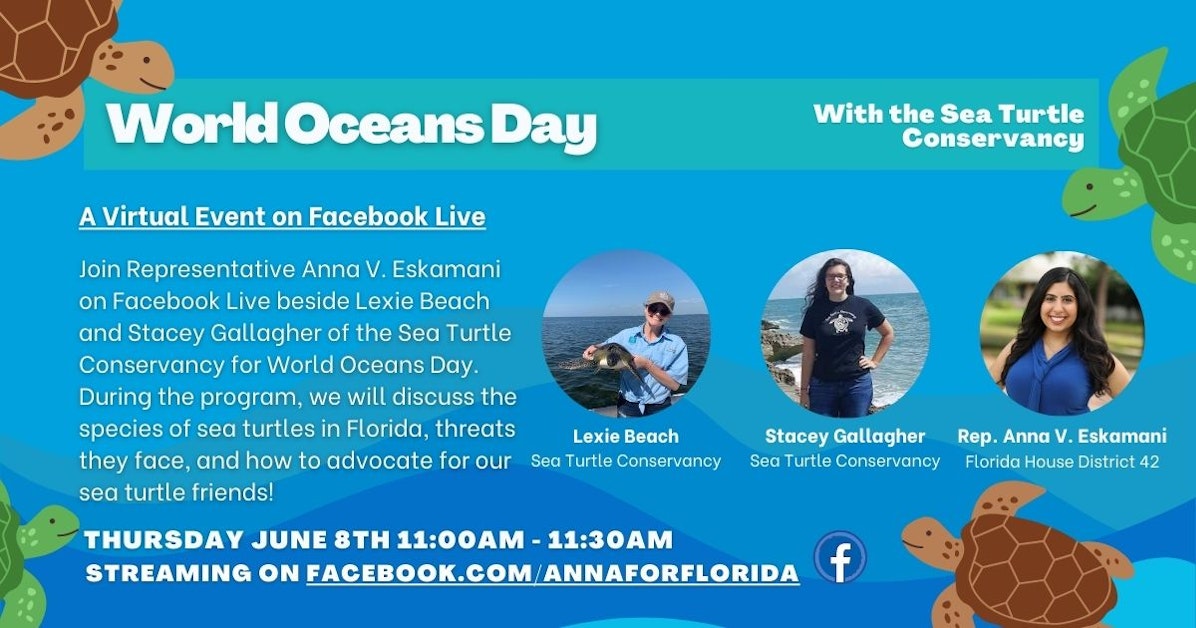 World Oceans Day with the Sea Turtle Conservancy · Anna For Florida